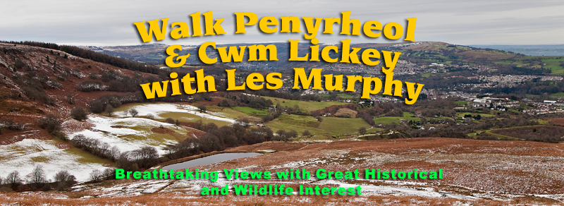 Penyrheol Walk and Talk — Cymdeithas Twmbarlwm Society